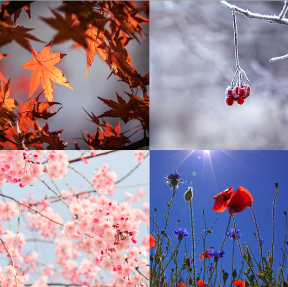 Les 4 saisons et l'ayurvéda - Ayurvéda et yoga à La Rochelle - Agathe ...